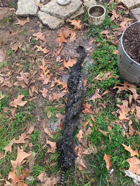 what is clogging up your sewer magnolia plumbing and a c