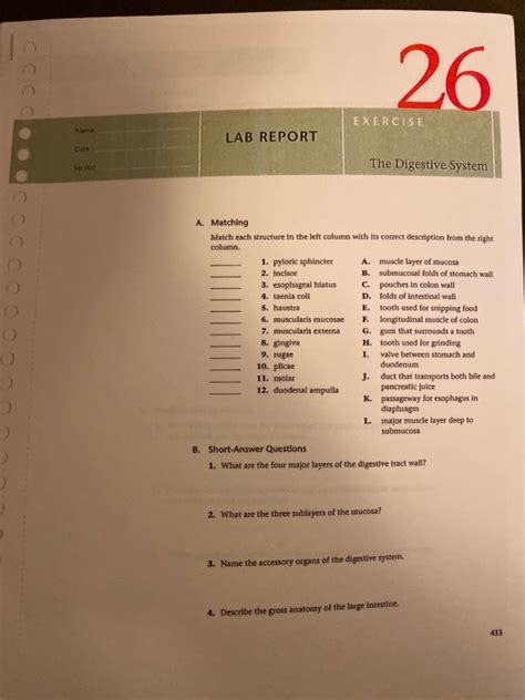 Solved EXERCISE Name LAB REPORT Section The Digestive System Chegg