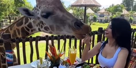 발리 속 작은 아프리카발리에서 만나는 아프리카 사파리 특별한 가족 여행지 추천 이앤투어픽