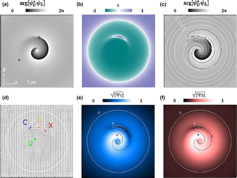 Various Representations Of The Fields Morphology Namely Based On Download Scientific Diagram