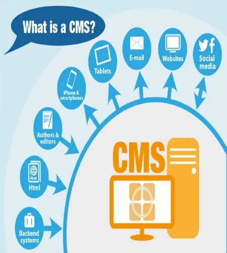 cms web development service with 24 7 support rs 15000 month qtn