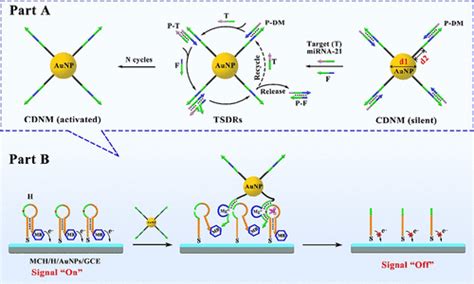 Controllable Three Dimensional Dna Nanomachine Mediated Electrochemical Biosensing Platform For