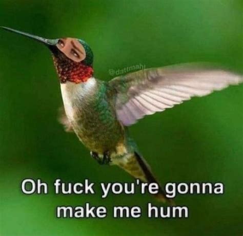 Oh Fuck Youre Gonna Make Me Hum Ifunny