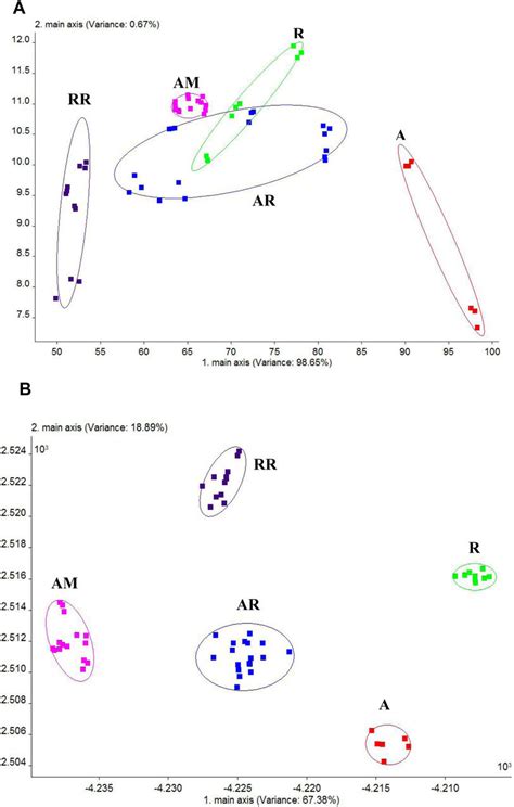 a pca of the e nose data from 5 different fermented soybean curd