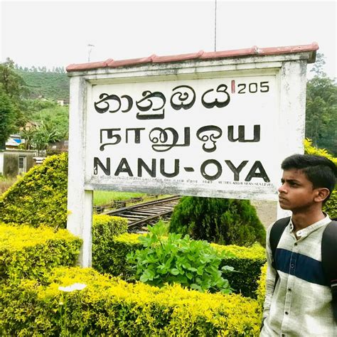 Thamindu Fernando Thamindu Fdo • Instagram Photos And Videos