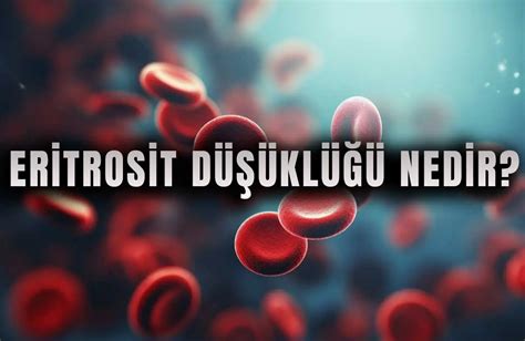 Eritrosit Düşüklüğü Nedir Ankara Masası