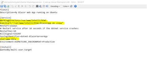Running Blazor Server Web App On Linux And Apache