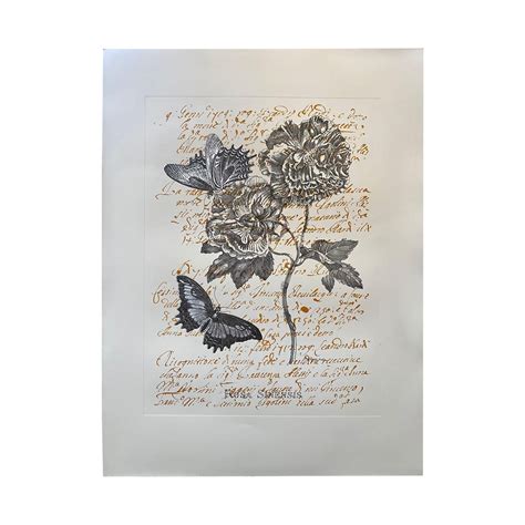 Contemporary Italian Butterfly Print Press Engraving Pure Silver Leaf