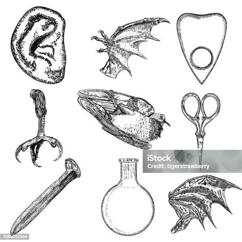 랜덤 매직 디자인 요소 세트 마술사 컬렉션을위한 손 그리기 마술 마법 기호 인간의 귀 뱀파이어 날개 새 다리 죽은 새 가위 물약유리 병 철 손톱 벡터 가위에 대한 스톡 벡터