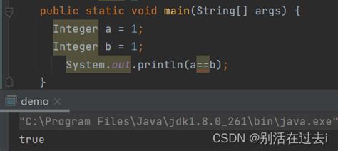 包装类学习总结 java包装类体会 csdn博客