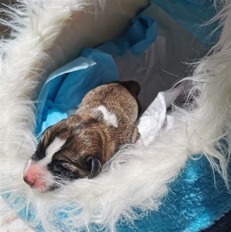 Кира Изгубена между болката и Надеждата Тази вечер Кира най накрая се предаде… или може