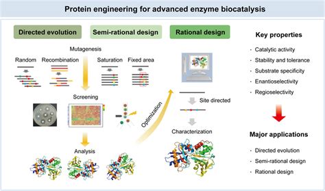 Protein Engineering For Advanced Enzyme Biocatalysis In Download