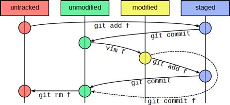 Git Lifecycle Philographerdev