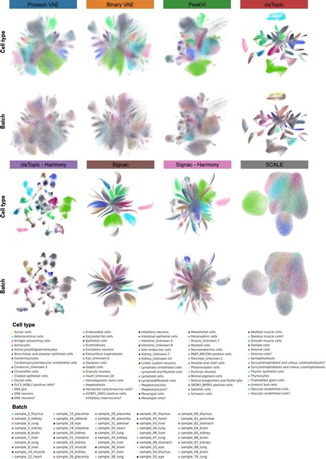 umaps of integrated latent space for the sci atac seq3 dataset umap of