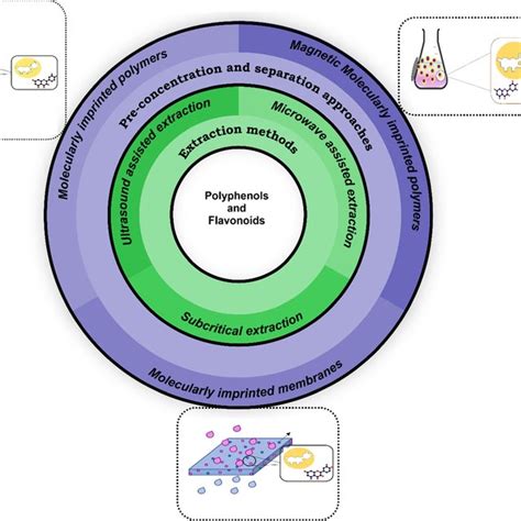 Schematical Representation Of Extraction And Separation And Download Scientific Diagram