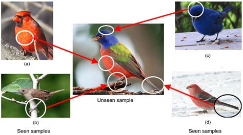 motivation of this paper the seen and unseen samples relate to each