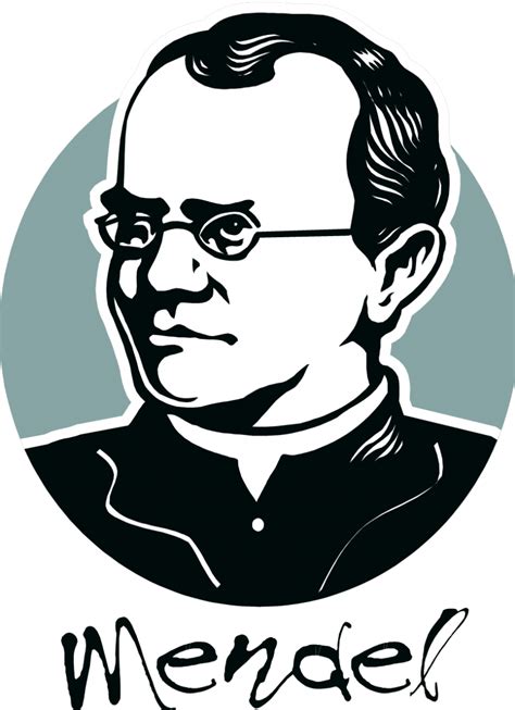 Free Mendel Cliparts Download Free Mendel Cliparts Png Images Free