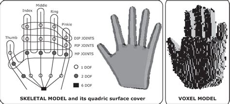 figure 1 from model based hand pose estimation using multiple viewpoint