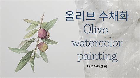 수채화로 올리브 나뭇가지 그리기 네이버 Tv