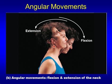 Joints And Joint Movements Ppt Video Online Download