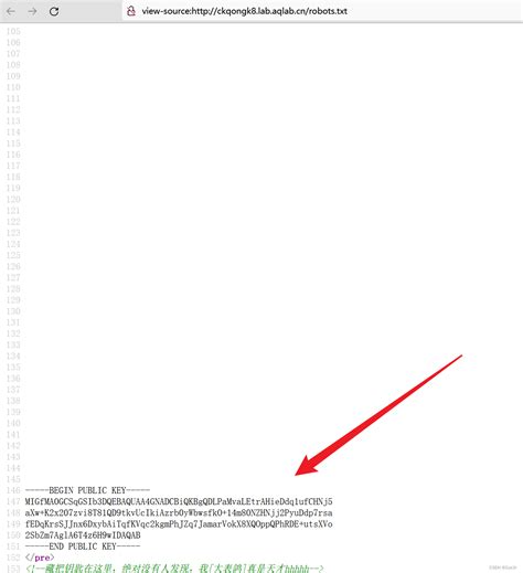 掌控安全腾龙杯2024（web方向） 腾龙杯ctf csdn博客