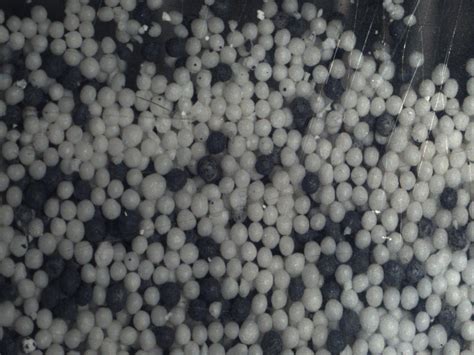 Image Processing Suggestions For Inhomogeneous Particle Segmentation Signal Processing Stack