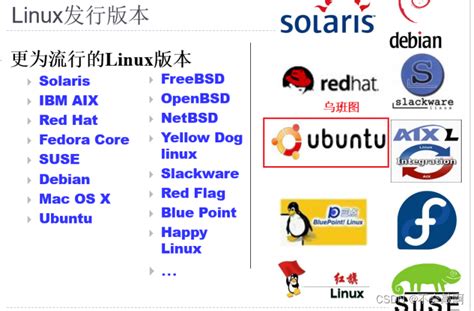 linux下的c语言和shell编程 linux的c语言编程与shell编程 csdn博客