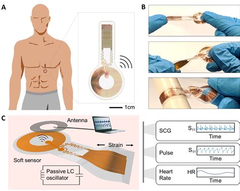 Wireless Batteryless Soft Sensors For Ambulatory Cardiovascular Health Monitoring