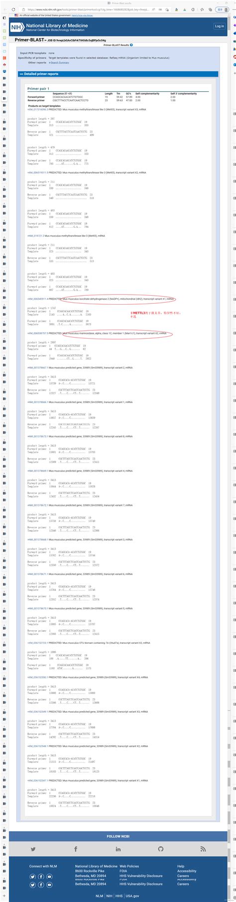 如何设计qpcr引物序列self Complementarity Csdn博客