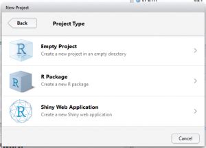 Shiny Data Visualization Using Shiny App In R