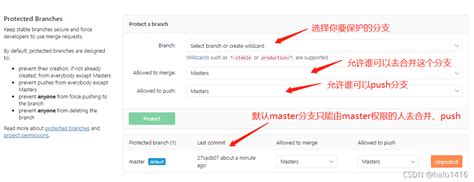 Gitlab设置受保护的分支protected Branches Csdn博客