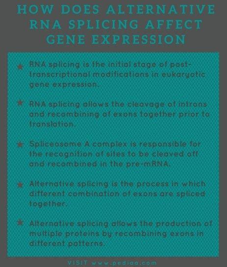 Primer Types Design Tools And Uses