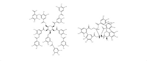 Typical Hydrolysable Tannins Tannic Acid Vescalgin Please Click Here Download Scientific