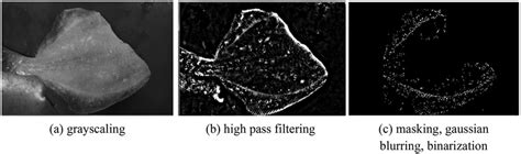 Preprocessing Process Applying The Image Processing Filter To Images