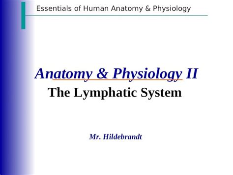 Ppt Lymphatic System Notes Dokumen Tips