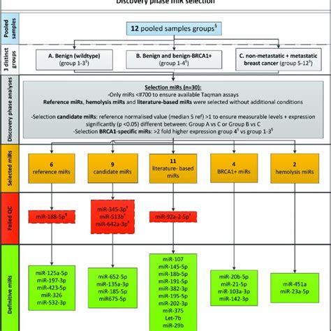 Discovery Phase Flow Chart § Supplementary Table 2 Displays A Detailed