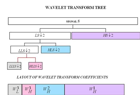 2 three scale wavelet transform and the layout of the transform