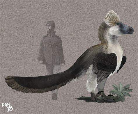 Utahraptor Ostrommaysorum By Danneart