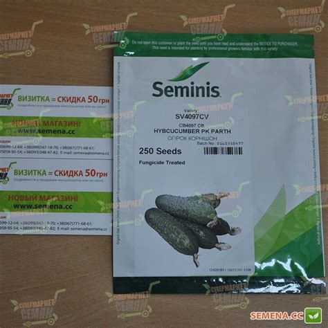 СВ 4097 ЦВ F1 (SV 4097 CV F1) семена огурца партенокарпический Seminis ...
