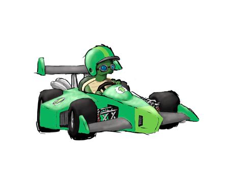 Racing Turtle Imgur