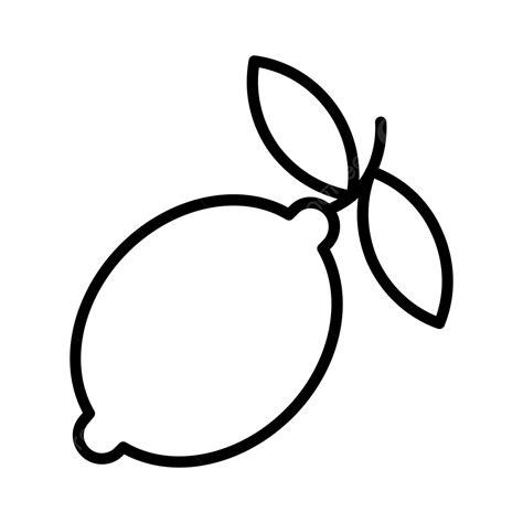 رمز خط الليمون المتجه غذاء فاكهة الفاكهة Png والمتجهات للتحميل مجانا