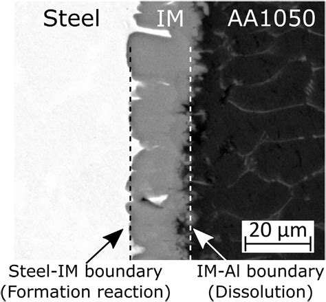 Sem Observation Of The Cross Section Of The Interface The Formation Of