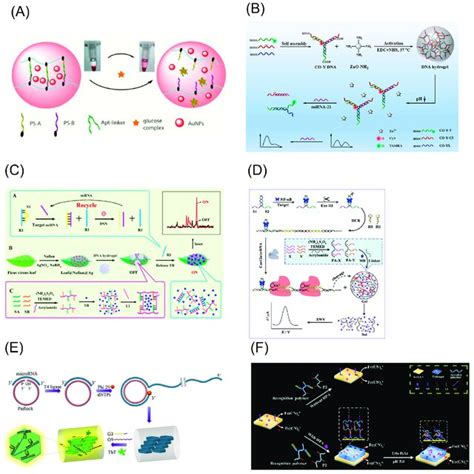 Stimulus Responsive Dna Hydrogel Design Strategies Download