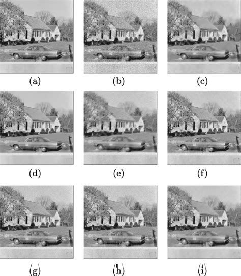 example image result a noisy image b dual nlm kullback leibler