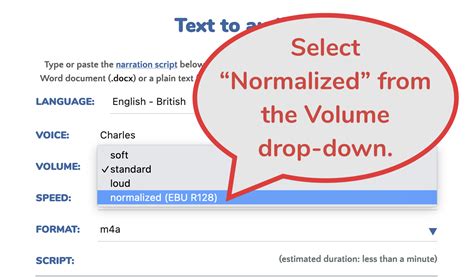 Normalize Text To Speech Voices