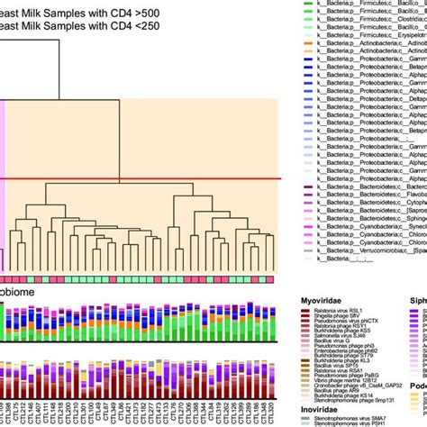 Breast Milk Microbiome Community States Relative Abundance Of