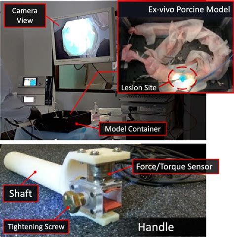 Figure 2 From Modeling Haptic Interactions In Endoscopic Submucosal Dissection Esd Semantic
