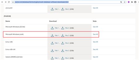 oracle11g数据库的下载与安装 yr1126 博客园