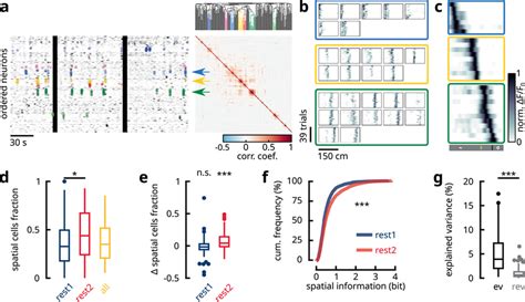 M2 Resting Ensembles Preferentially Recruit Neurons Expressing High