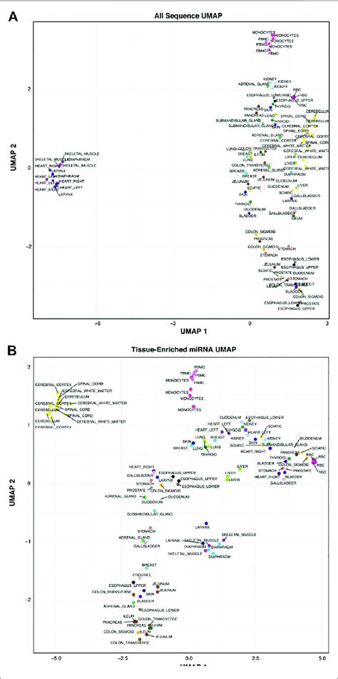 Tissue Clustering We Clustered The Tissues Using All Sequences In